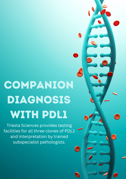 Best Pathology Lab in Bangalore: Triesta Sciences
