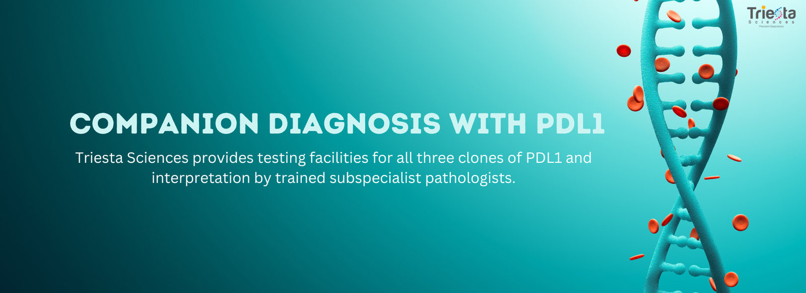 Best Pathology Lab in Bangalore: Triesta Sciences